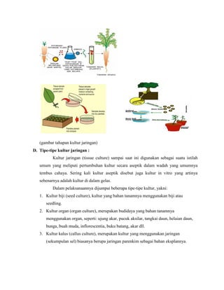 Kultur jaringan | PDF
