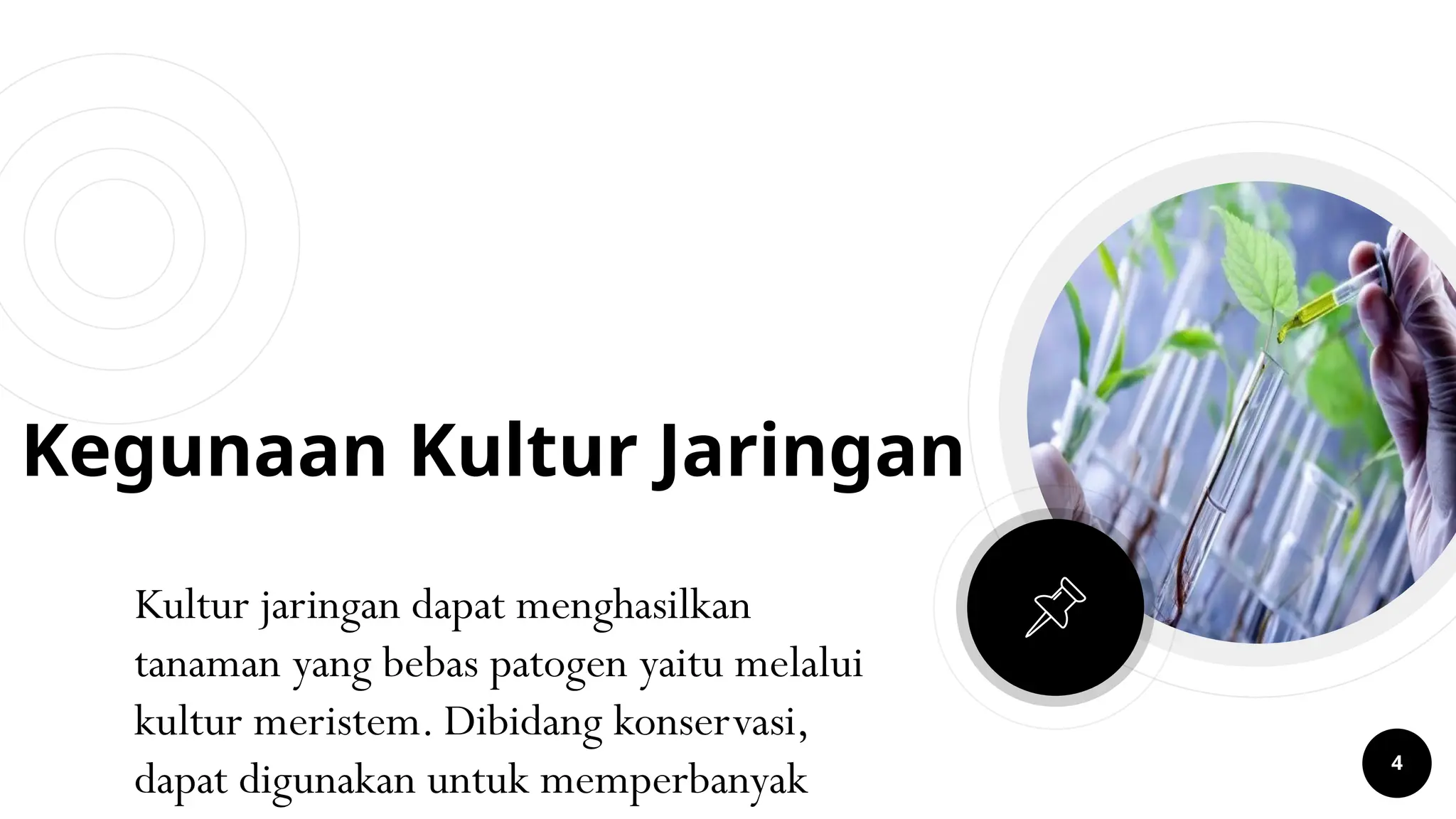 Kultur Jaringan Biologi IPA kelas 12 ppt | PPT