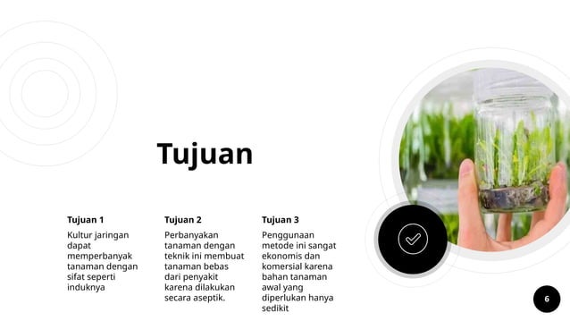 Kultur Jaringan Biologi IPA kelas 12 ppt | PPT