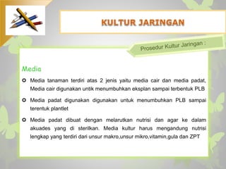 Kultur jaringan & rekayasa genetika | PPTX