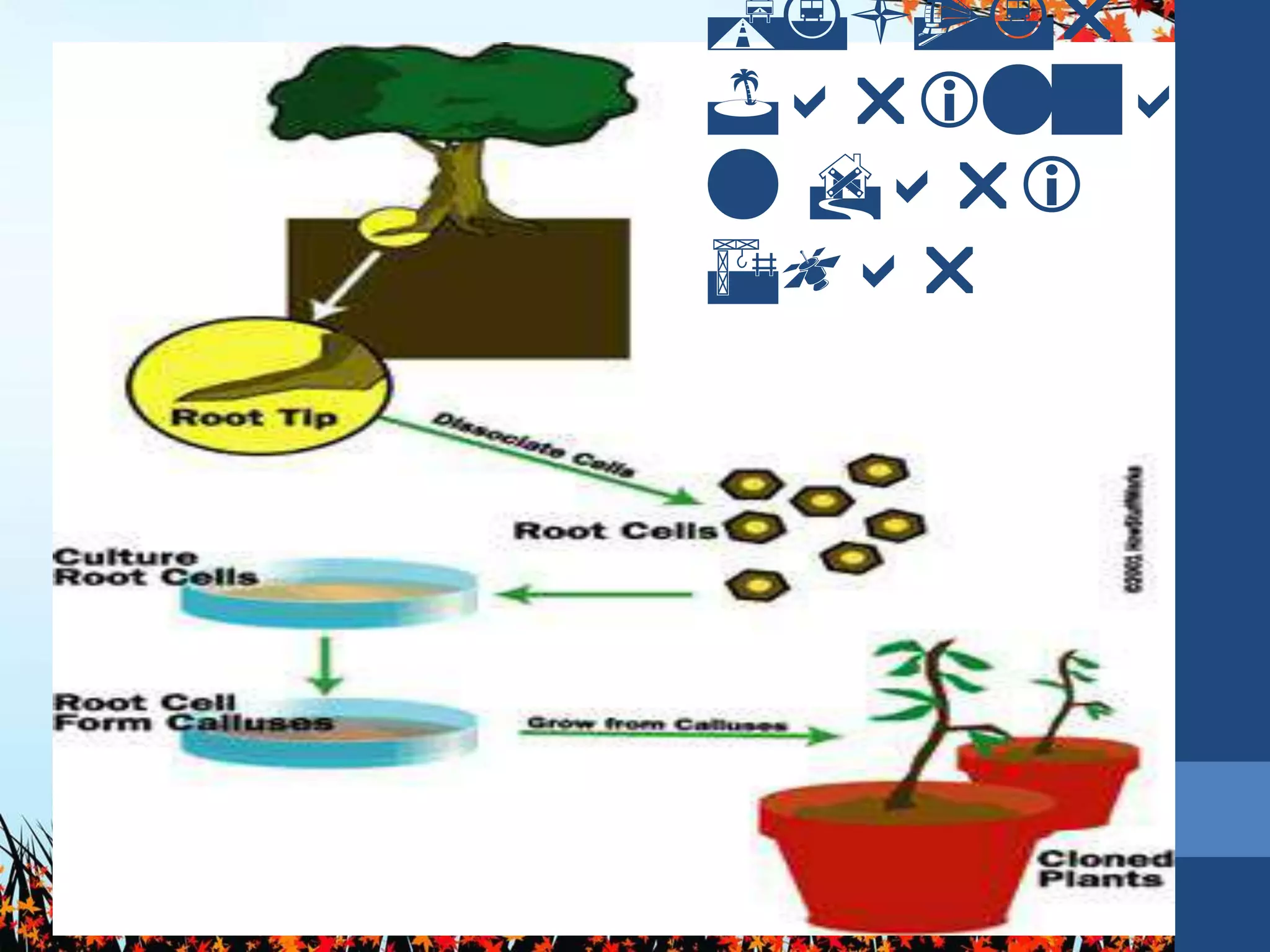 KULTUR JARINGAN TANAMAN ANGGREK NEW.pptx