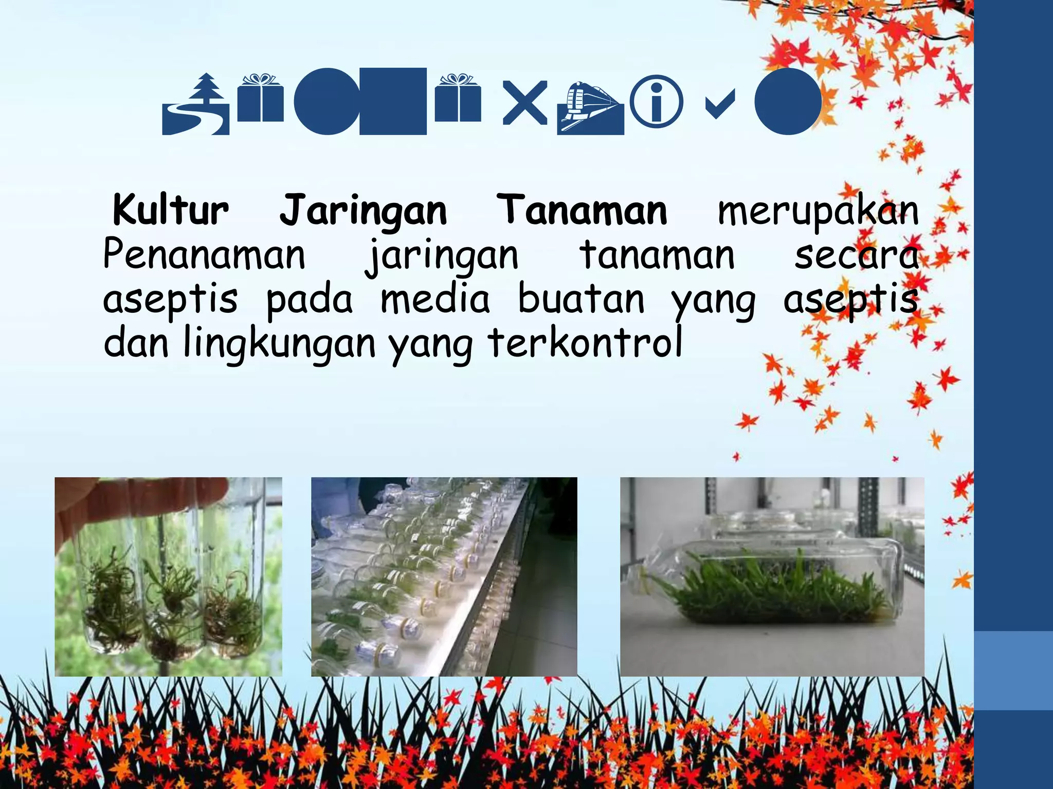 KULTUR JARINGAN TANAMAN ANGGREK NEW.pptx