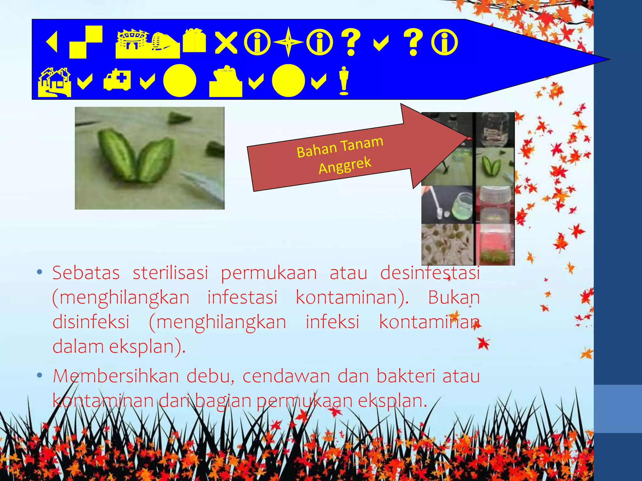 KULTUR JARINGAN TANAMAN ANGGREK NEW.pptx