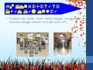 KULTUR JARINGAN TANAMAN ANGGREK NEW.pptx