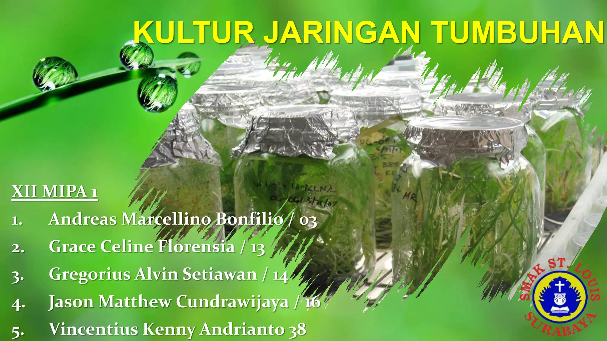 Kultur jaringan tumbuhan | PPTX