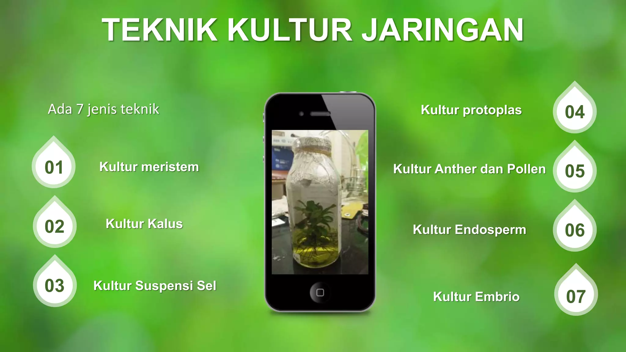 Kultur jaringan tumbuhan | PPTX