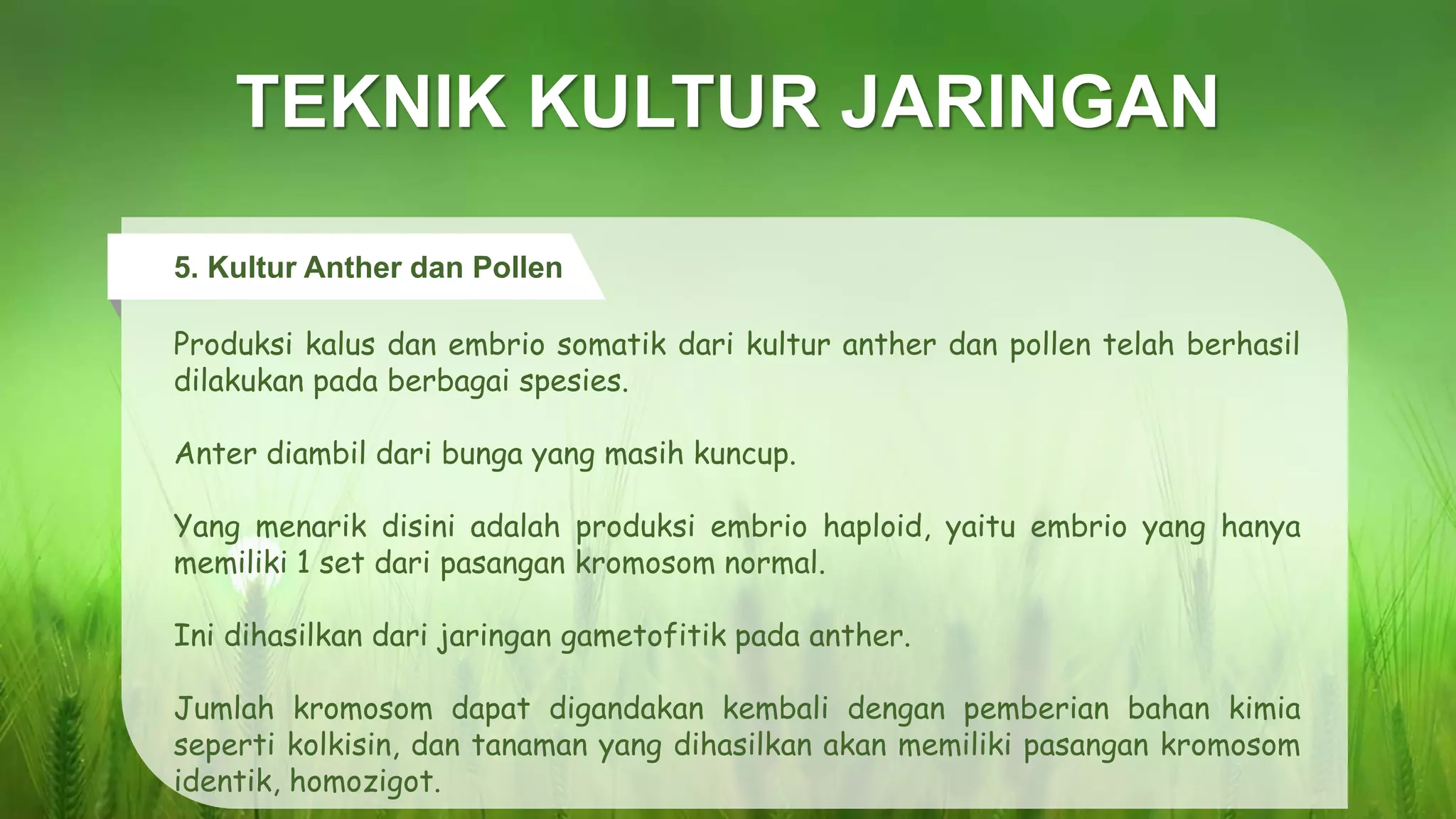 Kultur jaringan tumbuhan | PPTX