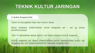 Kultur jaringan tumbuhan | PPTX