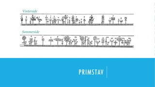 Kultur og tradisjon- kort alternativ undervisning.pptx