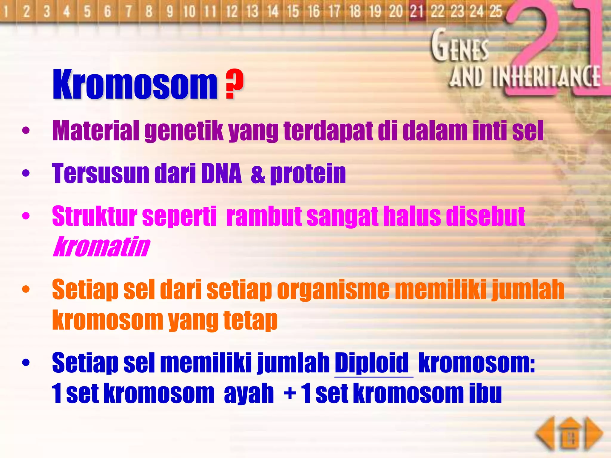 KUL VII_GENES_ MITOSIS_MEIOSIS.ppt