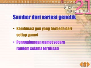 KUL VII_GENES_ MITOSIS_MEIOSIS.ppt