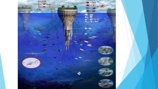 underwater city | PPTX