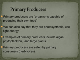 Biogeography- food chain and foo web | PPT