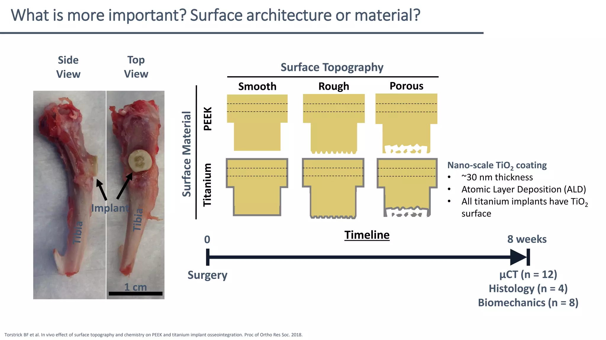 Spine Implants: Porous Coatings vs. Porous Materials vs. Additive ...