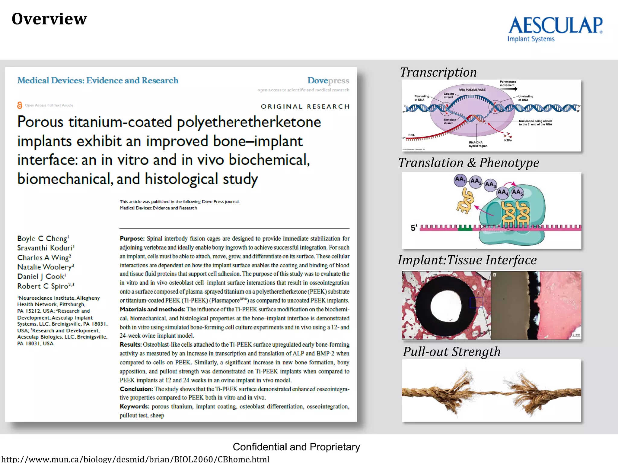 Spine Implants: Porous Coatings vs. Porous Materials vs. Additive ...