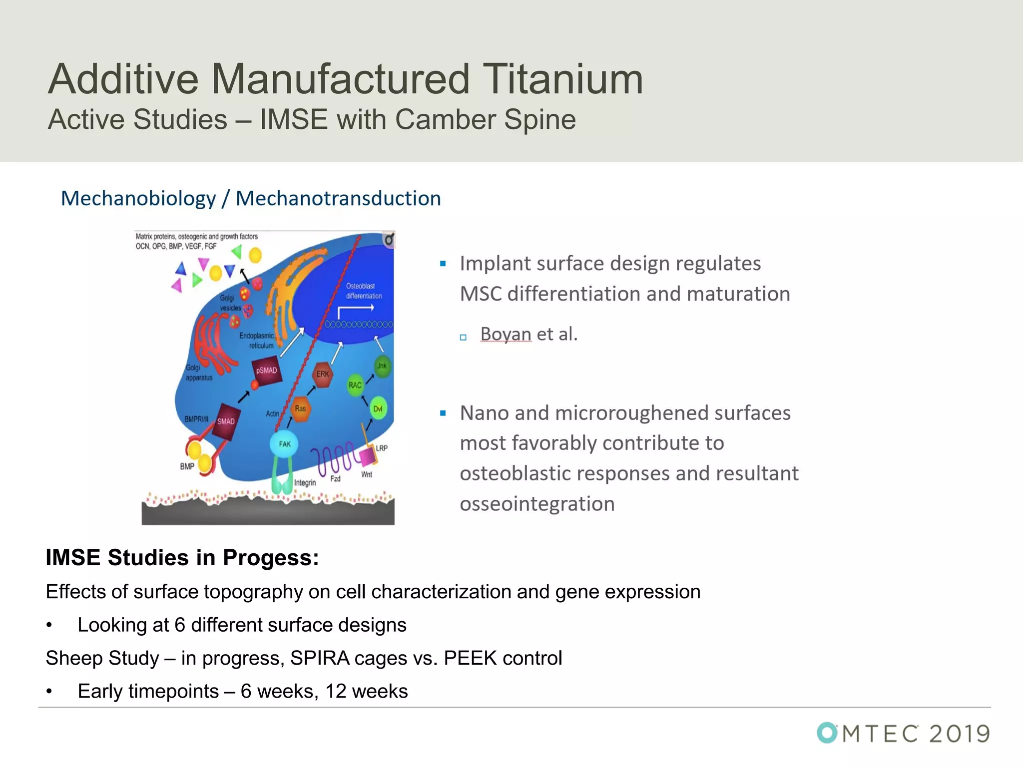 Spine Implants: Porous Coatings vs. Porous Materials vs. Additive ...
