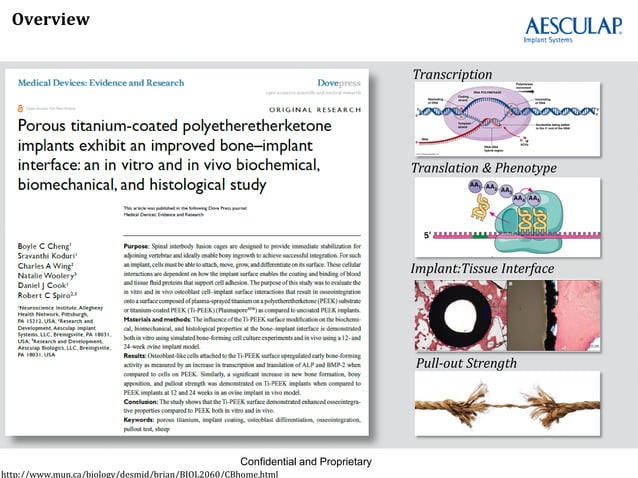 Spine Implants: Porous Coatings vs. Porous Materials vs. Additive ...