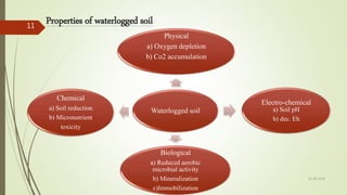 waterlogged soils | PPTX