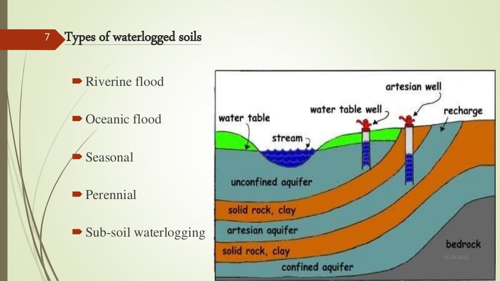 waterlogged soils