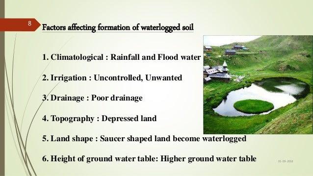 waterlogged soils