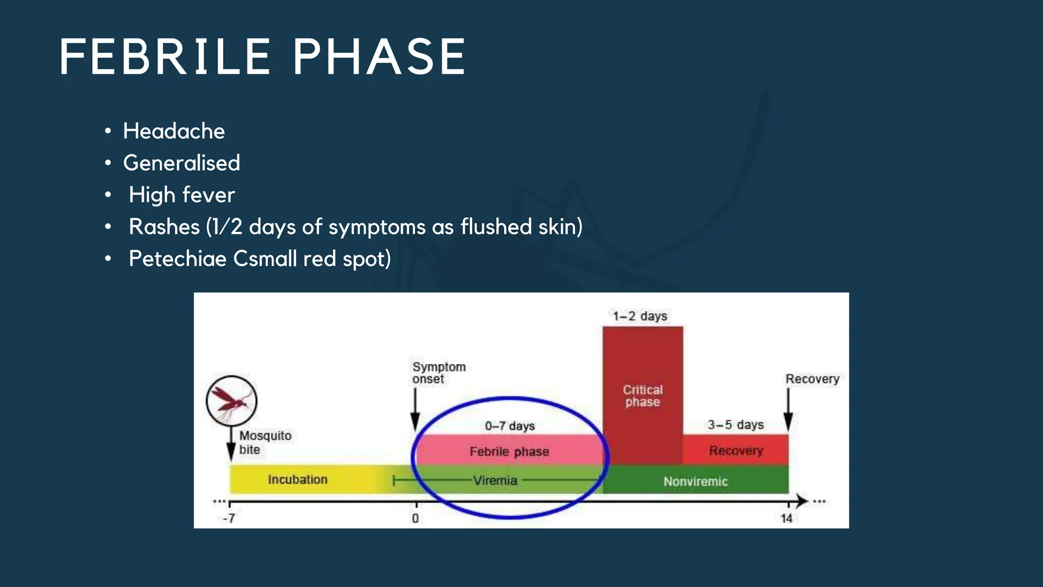 DENGUE Department of Physiotherapy, SHUATS, Prayagraj | PPT