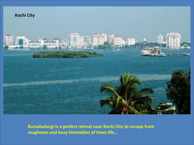 Kumbalangi Tourism Village in Kerala | PPTX | Food & Drink