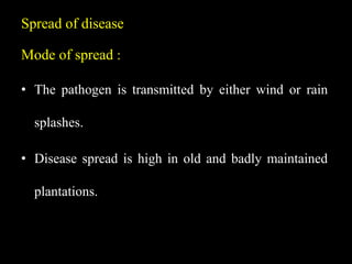 Banana cigar end rot | PPTX