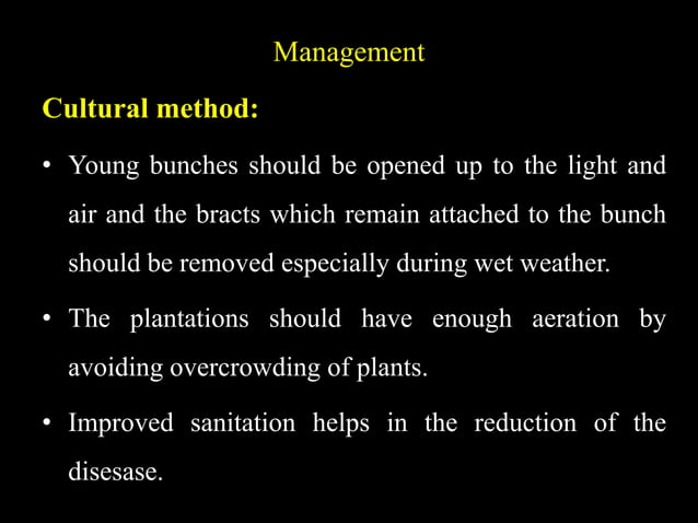 Banana cigar end rot | PPTX | Gardening | Home & Garden