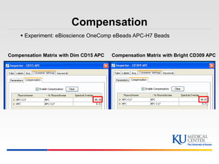 Flow Cytometry Compensation Bright vs Dim Controls | PPTX