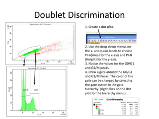DNA cell cycle by flow cytometry | PPTX