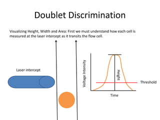 DNA cell cycle by flow cytometry | PPTX