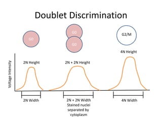 DNA cell cycle by flow cytometry | PPTX