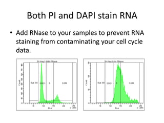 DNA cell cycle by flow cytometry | PPTX