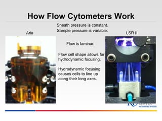 Kumc introduction to flow cytometry | PPTX