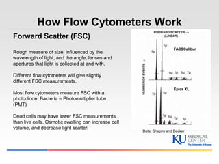 Kumc introduction to flow cytometry | PPTX