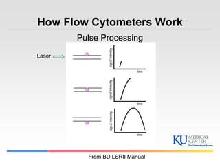 Kumc introduction to flow cytometry | PPTX