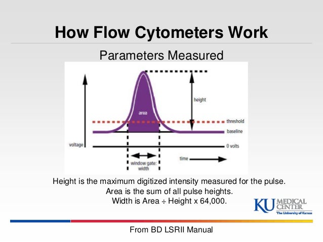 Kumc introduction to flow cytometry
