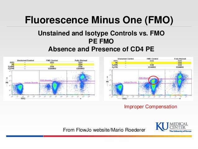 Kumc introduction to flow cytometry