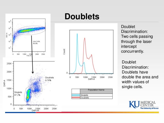 Kumc introduction to flow cytometry