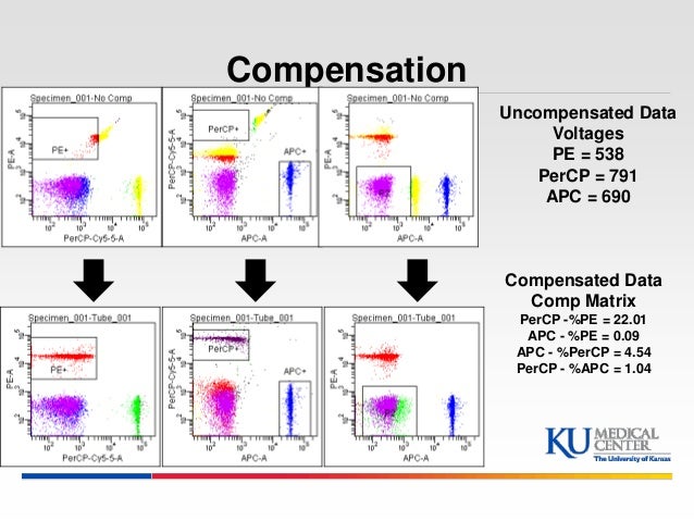 Kumc introduction to flow cytometry