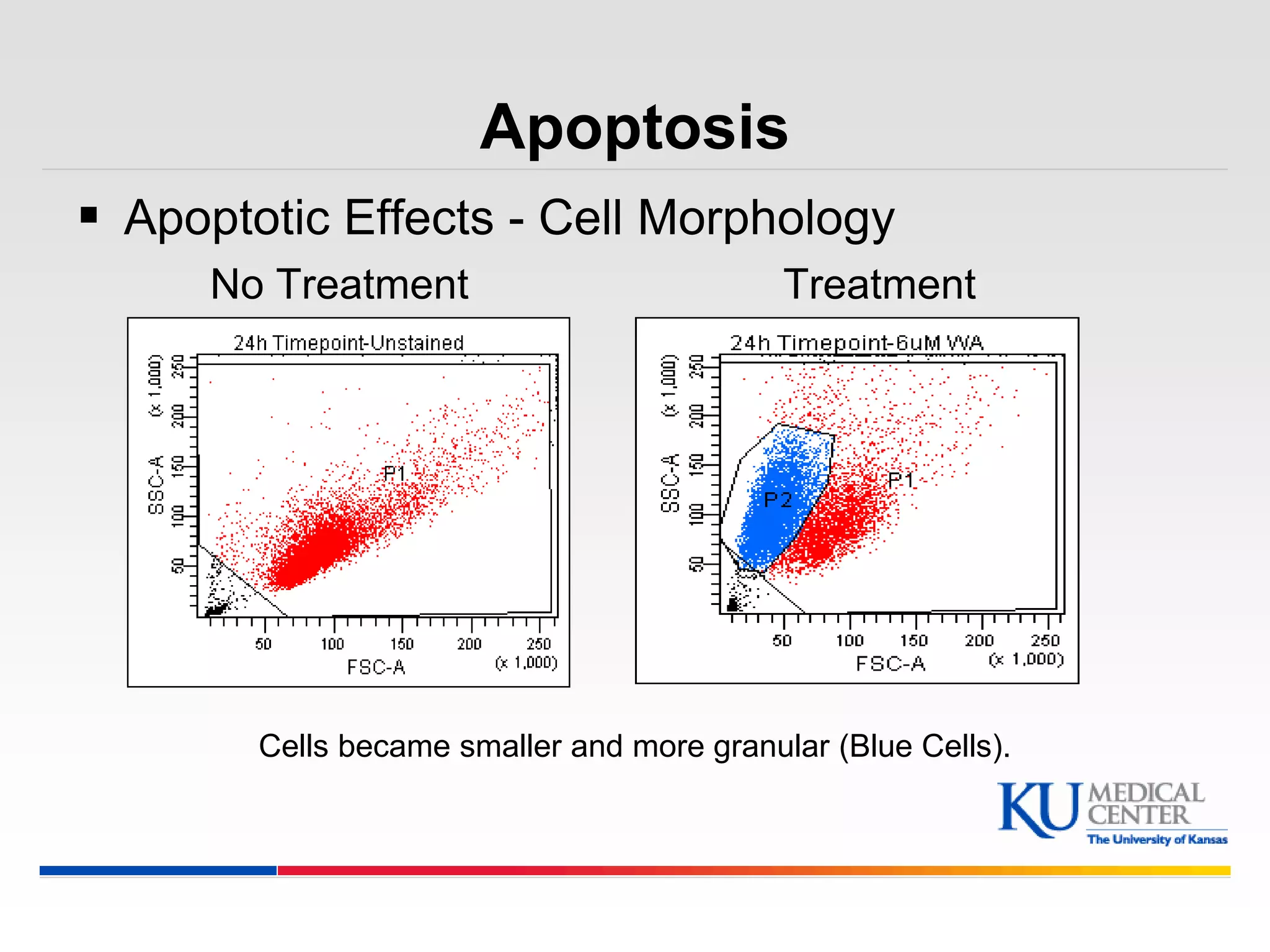 Kumc measuring apoptosis using flow cytometry | PPTX