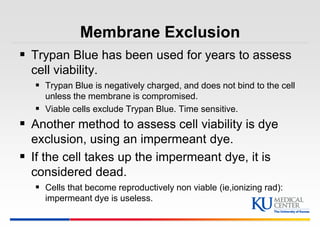 Kumc measuring apoptosis using flow cytometry | PPTX