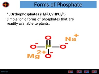 Phosphate as a Water Quality Parameter | PPTX