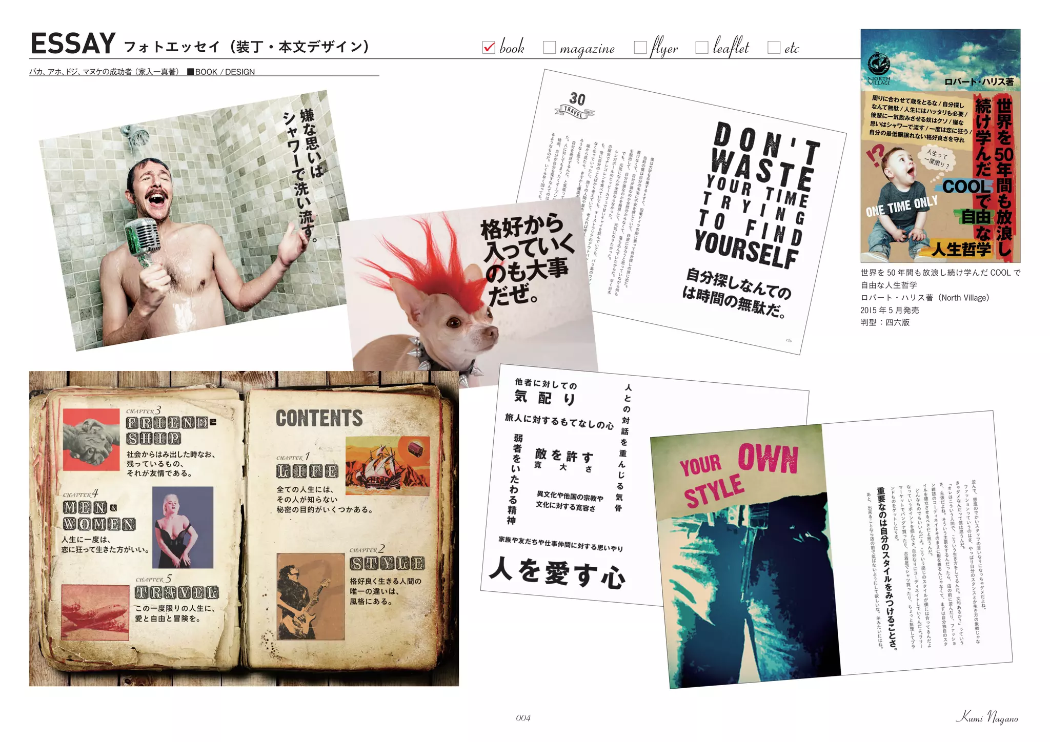 Past work (design / layout) | PPT