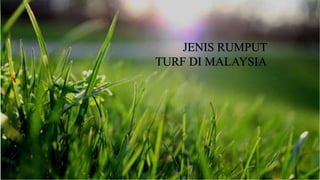 Turf - Pengenalan | PPTX