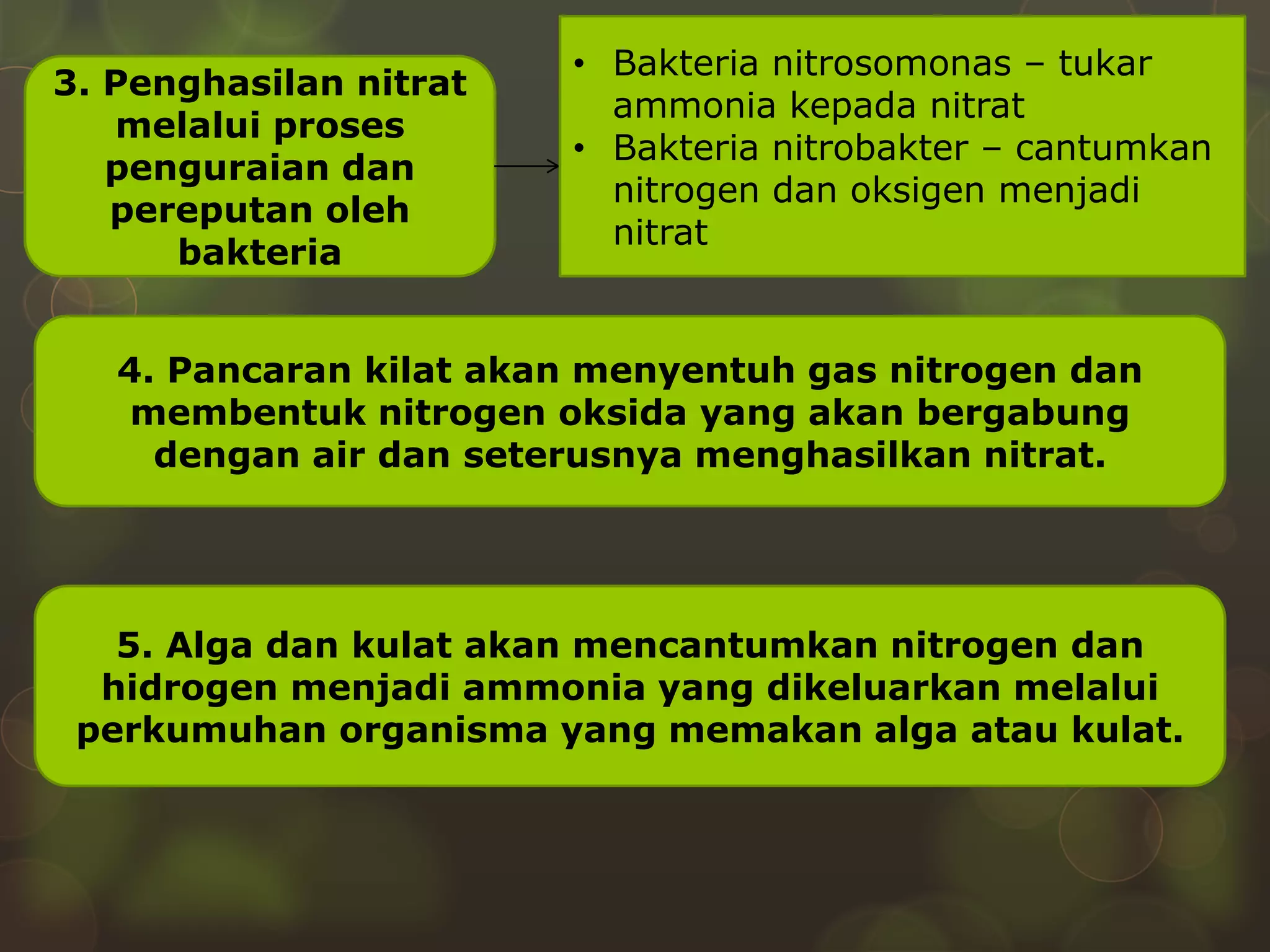 GEOGRAFI STPM PENGGAL3 - KITAR NUTRIEN DALAM EKOSISTEM | PPTX