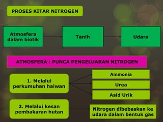 GEOGRAFI STPM PENGGAL3 - KITAR NUTRIEN DALAM EKOSISTEM | PPTX