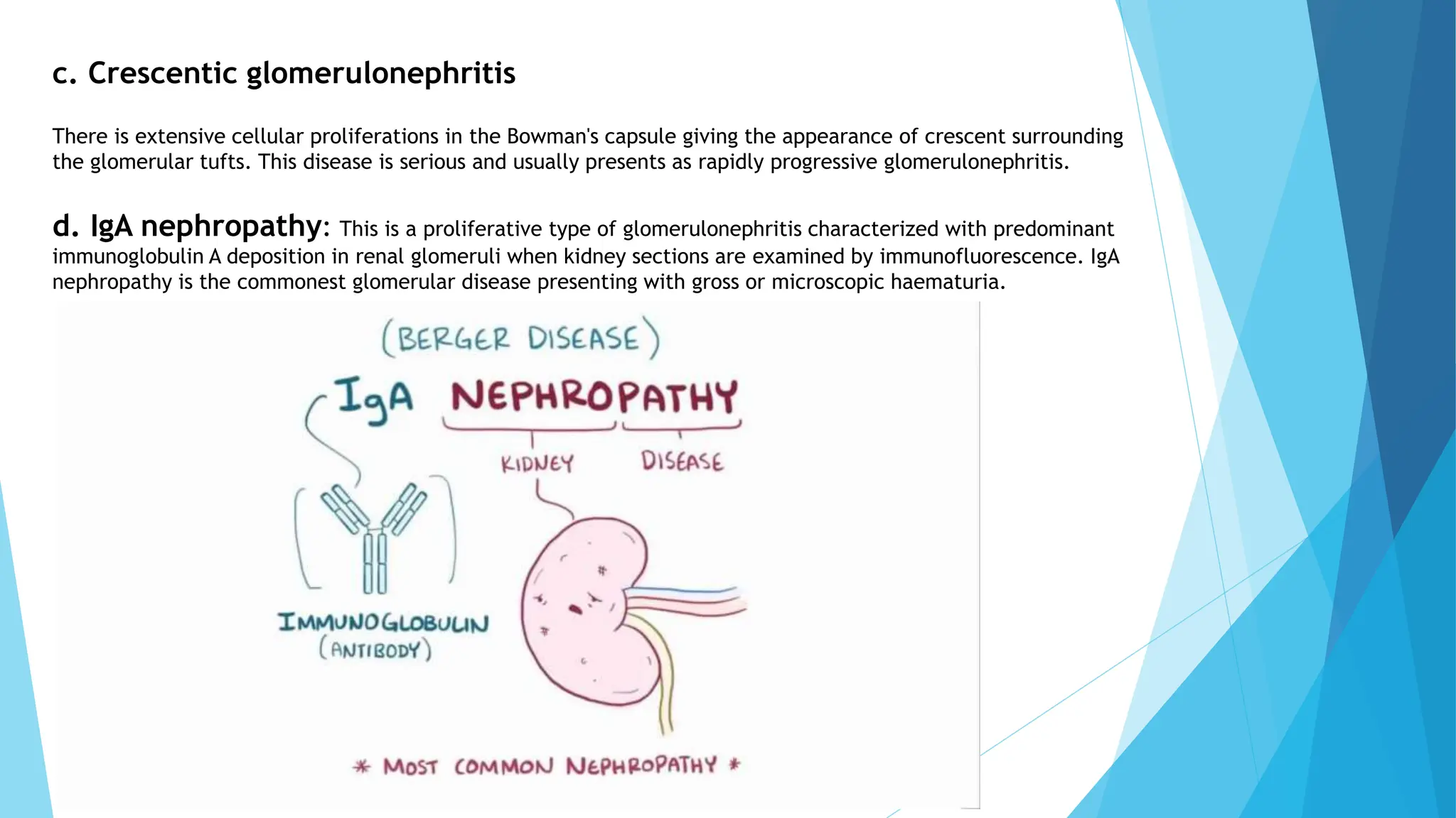 Glomerulonephritis topic kidney related disease | PPTX