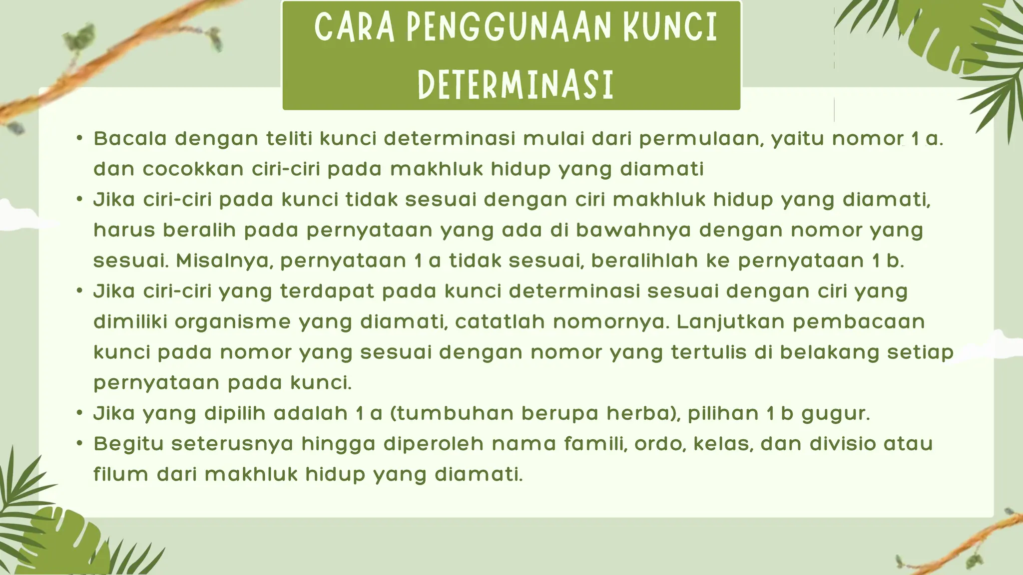 Kunci Determinasi_Revawina Putri Paulana_VII.1.pptx