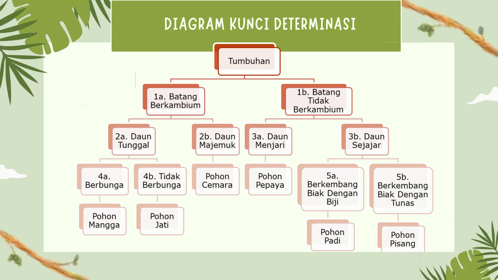 Kunci Determinasi_Revawina Putri Paulana_VII.1.pptx